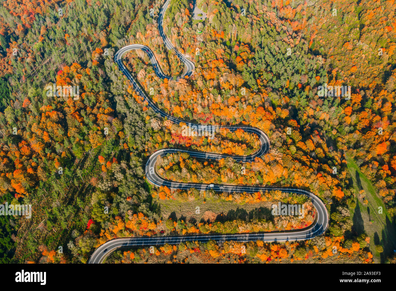 Drone view - Aerial view of autumn forest road. Top view of beautiful ...