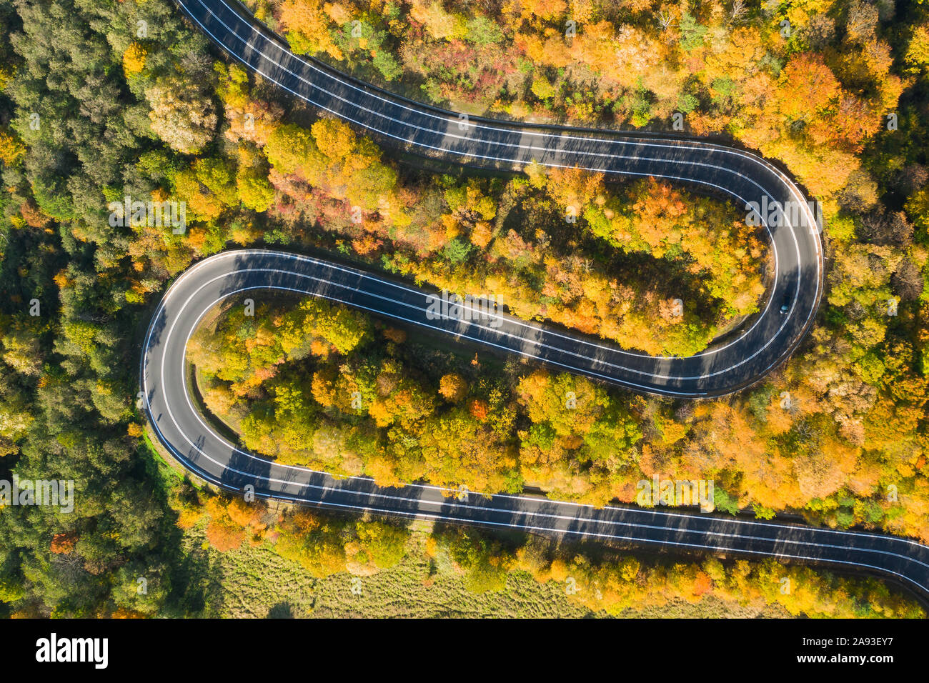 Drone view - Aerial view of autumn forest road. Top view of beautiful ...
