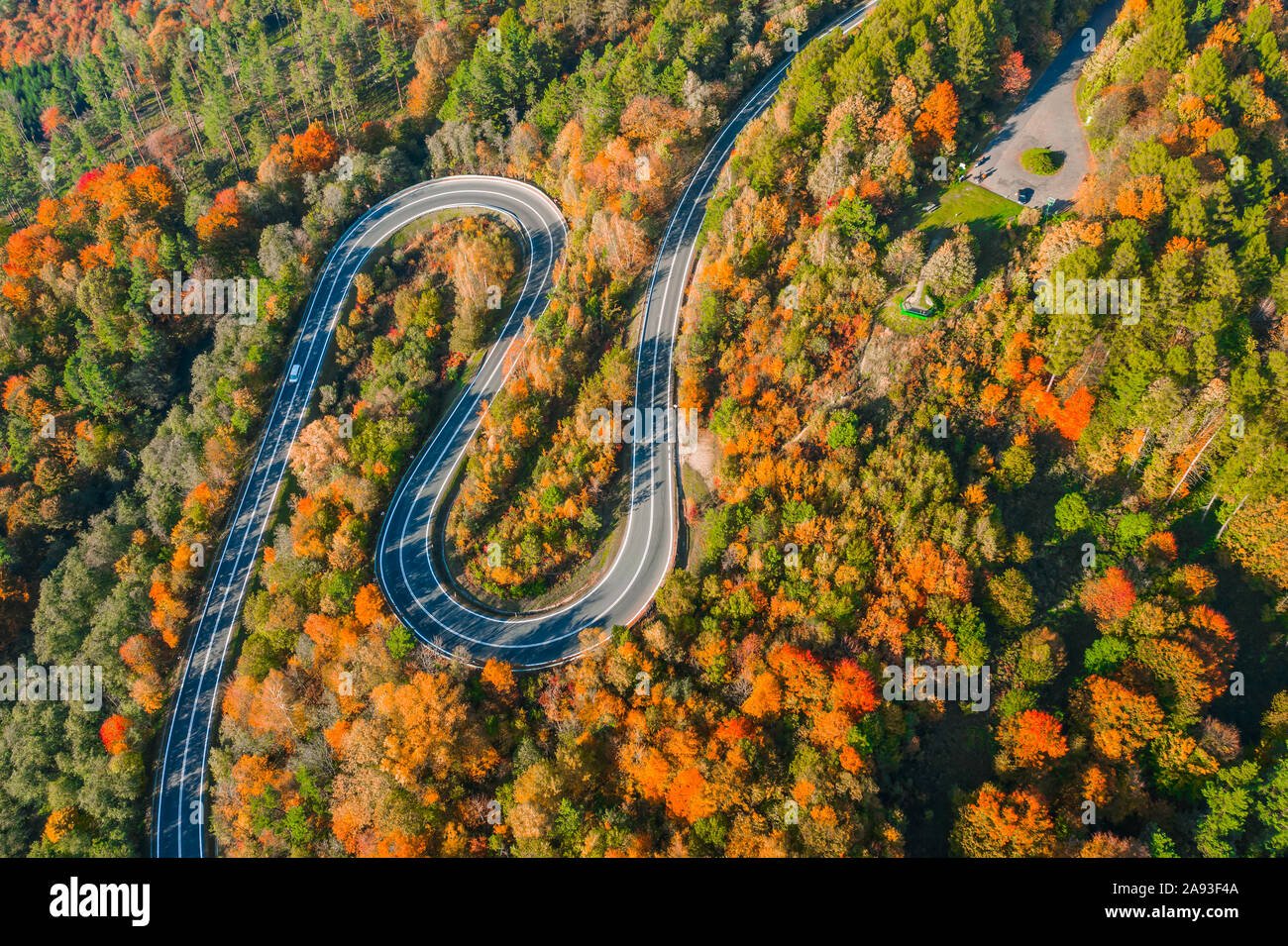 Drone view - Aerial view of autumn forest road. Top view of beautiful ...