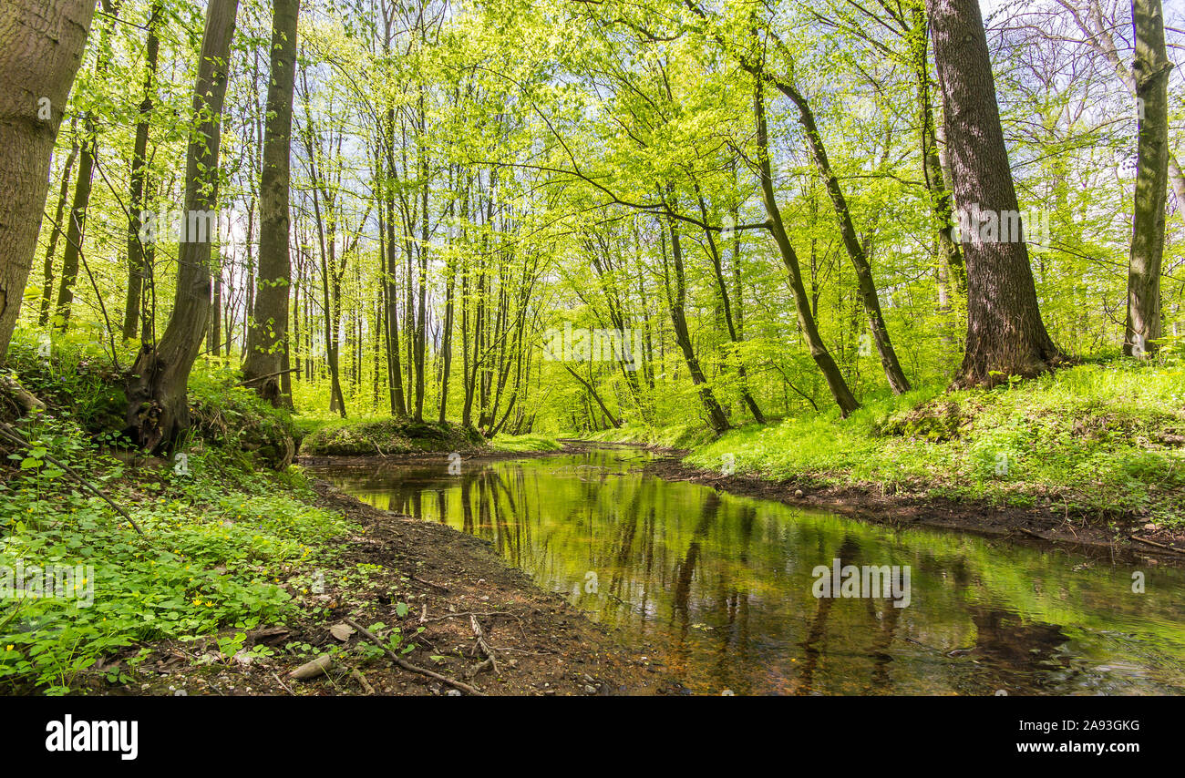 Przyroda hi-res stock photography and images - Alamy