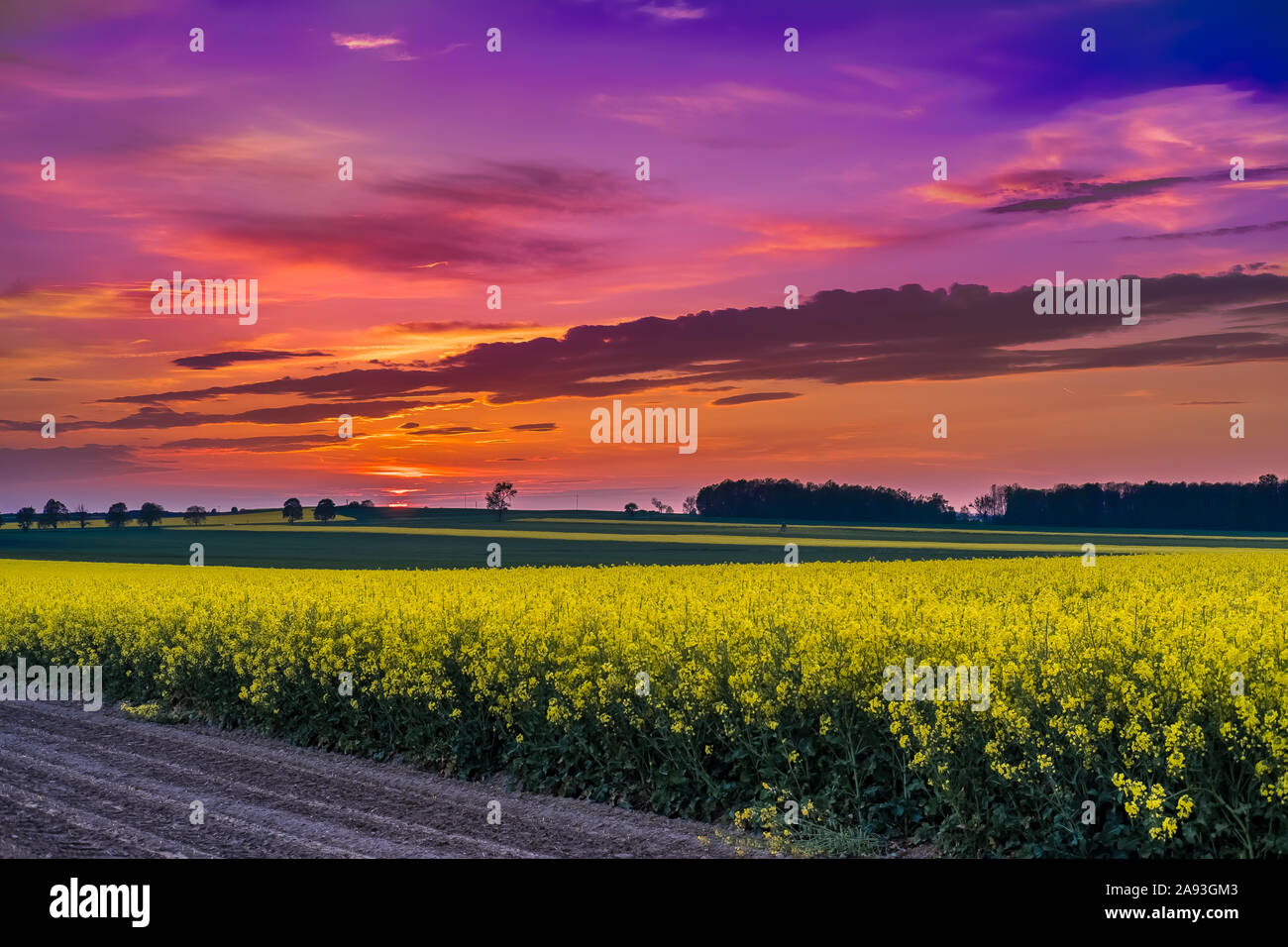 Durski hi-res stock photography and images - Alamy