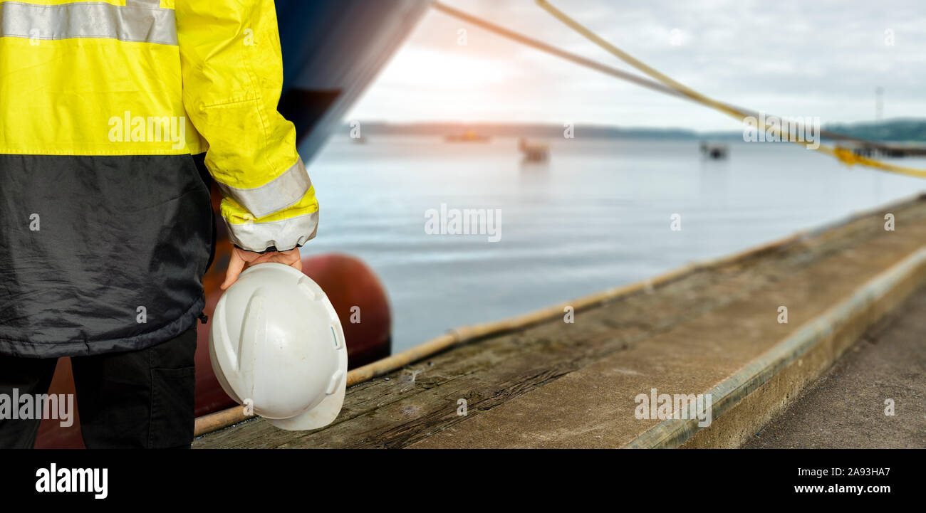 Ship supervisor engineer inspector stands at the dockside in a port ...
