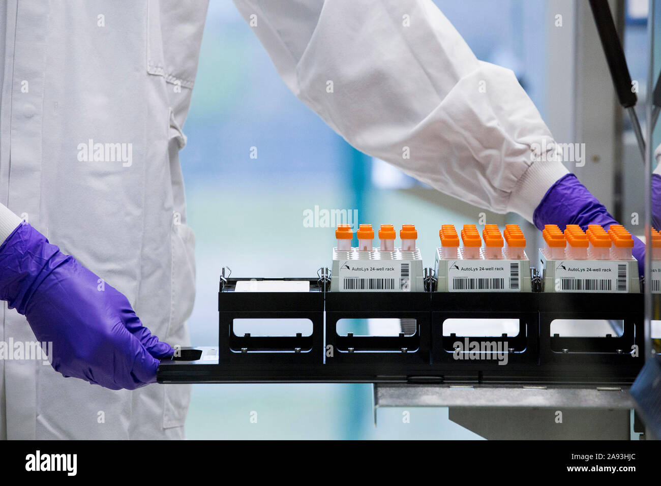 Den Haag, Netherlands. 09th Feb, 2017. THE HAGUE, 12-11-2019, The ...