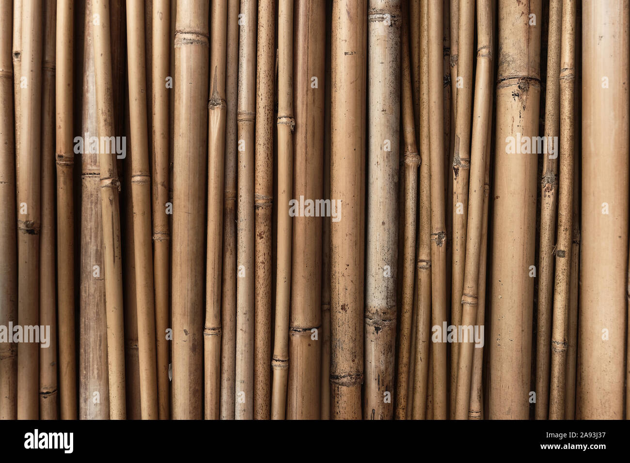 Close image of dry yellow bamboo twigs, natural texture, wallpaper ...