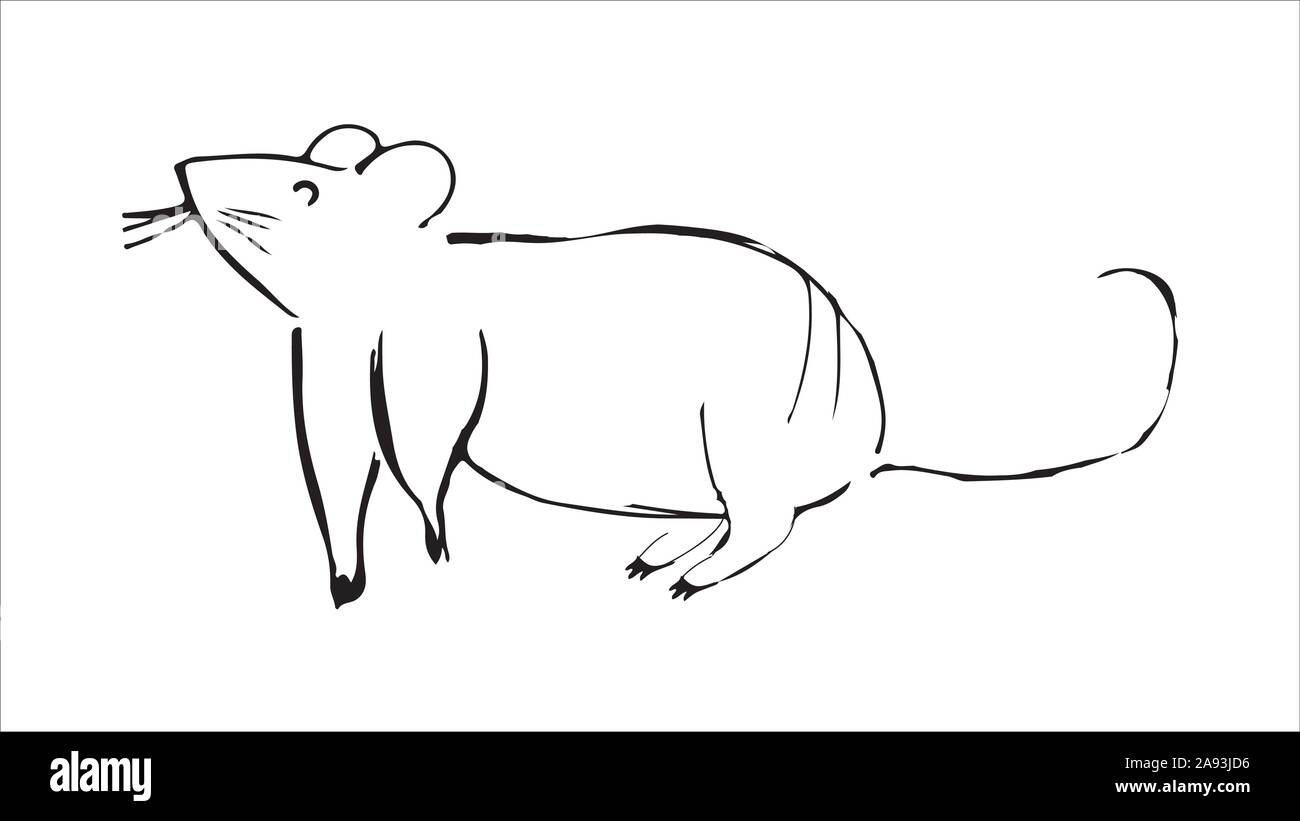 Rat hand drawn Black and White Stock Photos & Images - Alamy