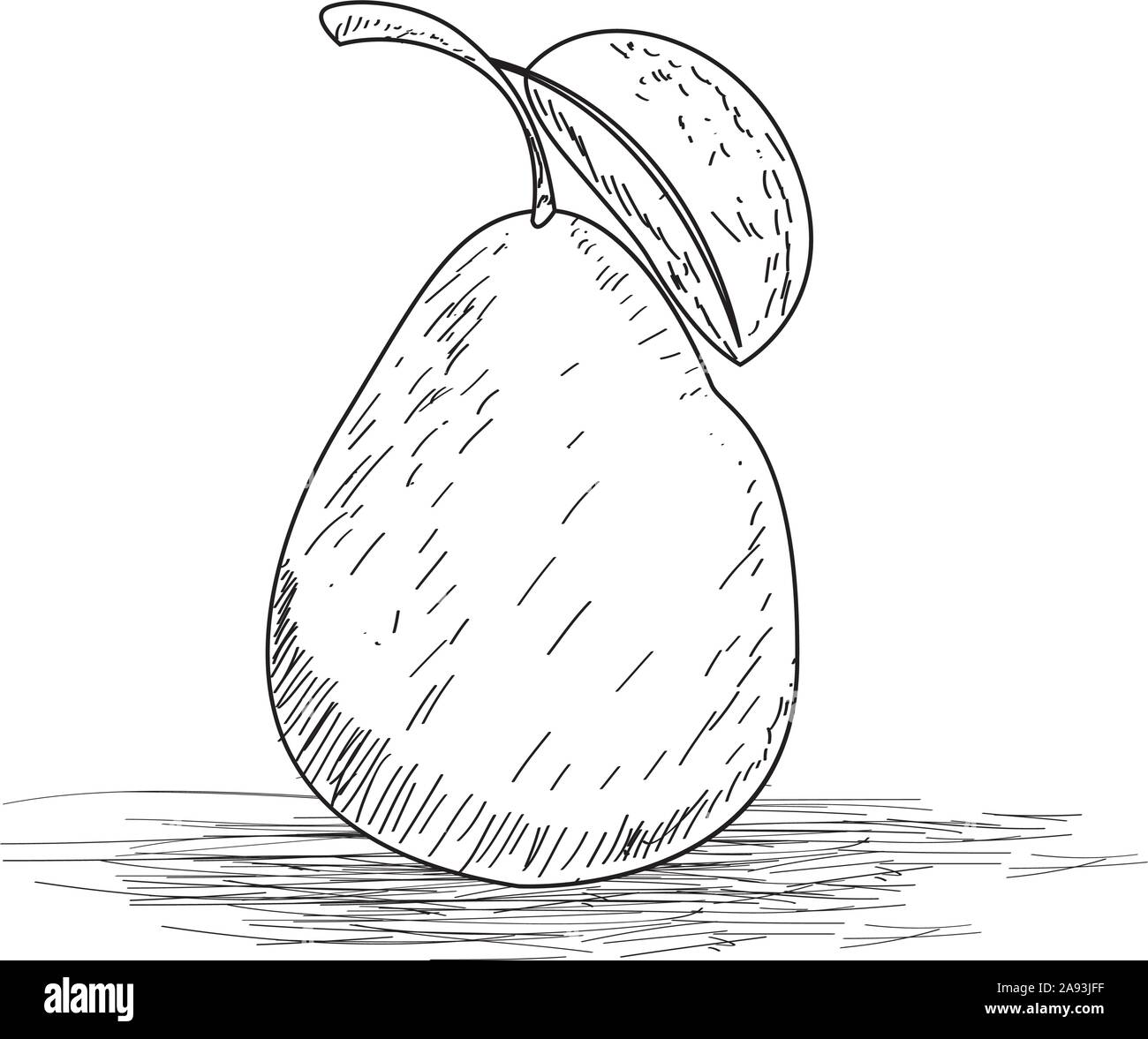 Pear Fruit Drawing