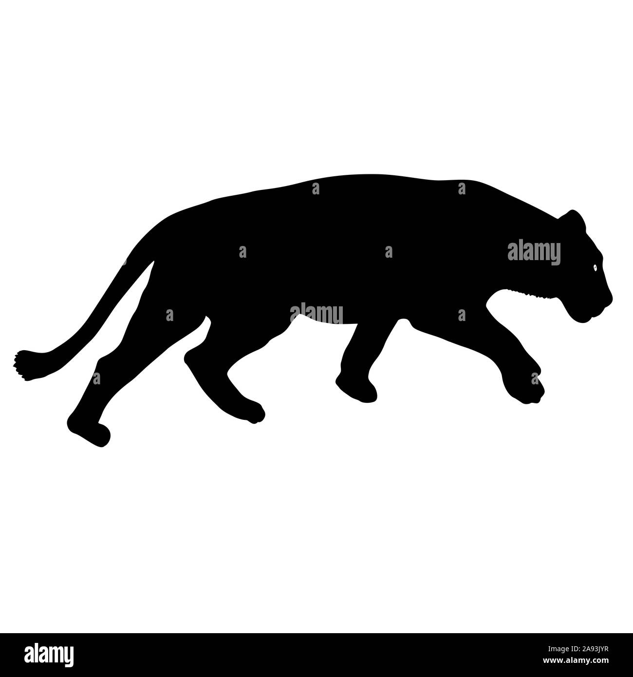 Panther claw background hi-res stock photography and images - Alamy