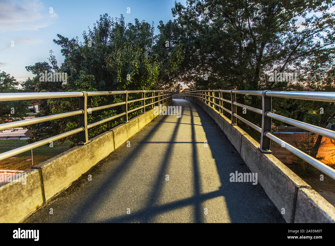 Trees over a footbridge, Storrow Drive and Boston Esplanade, Boston ...