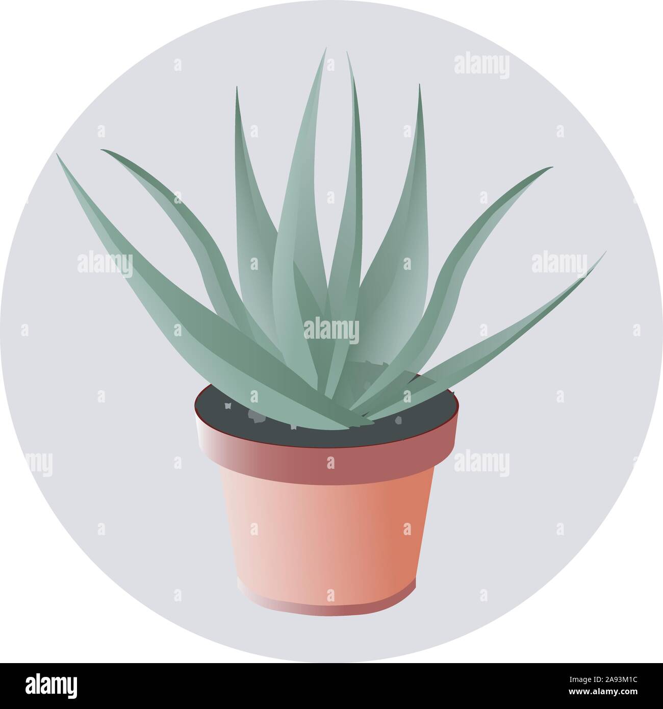 Aloe Vera isolated on white photo-realistic vector Stock Vector Image ...