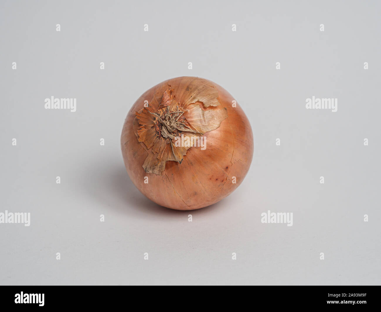 Onion legume hi-res stock photography and images - Alamy