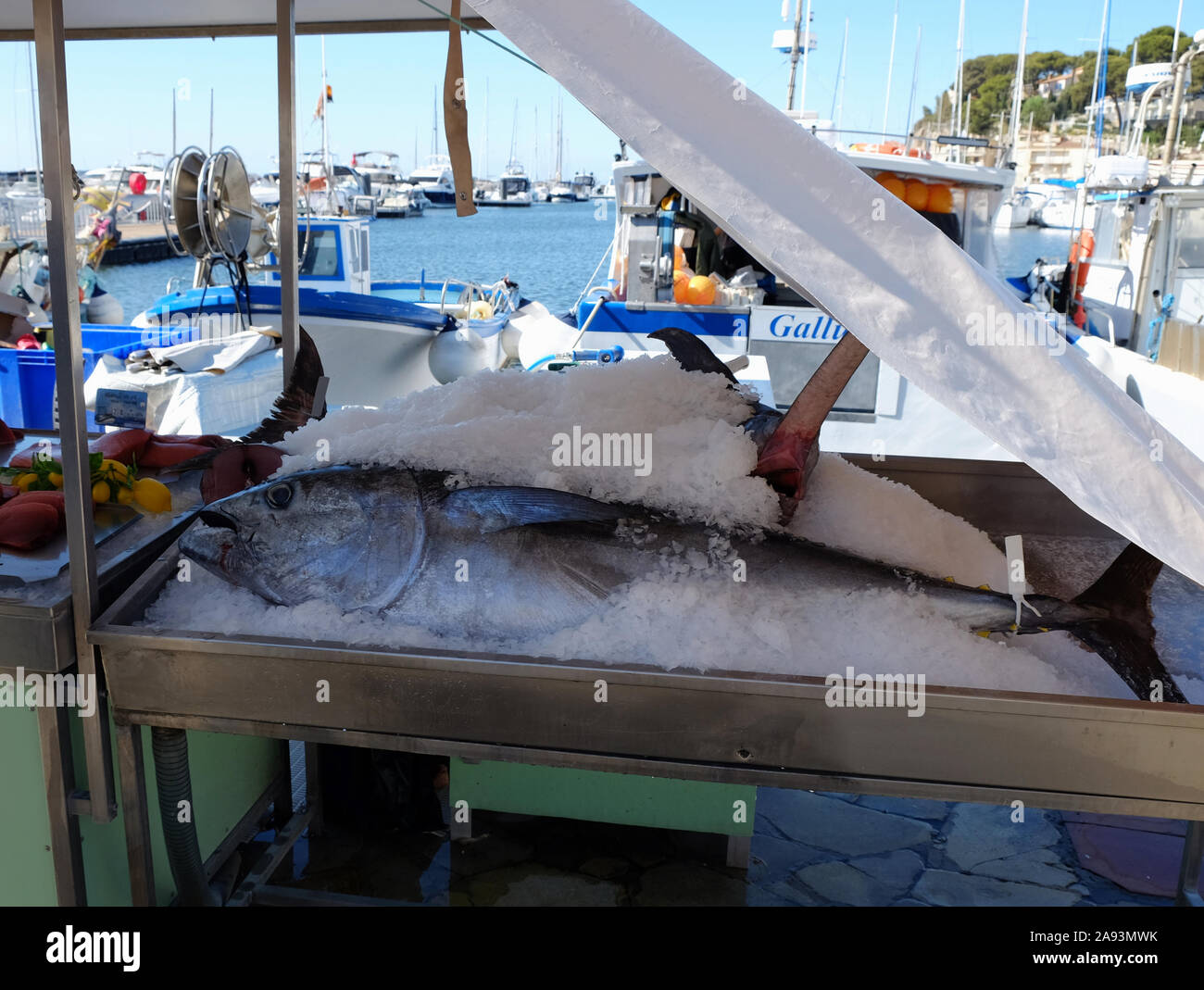 Mediterranean tuna fishing hi-res stock photography and images - Alamy