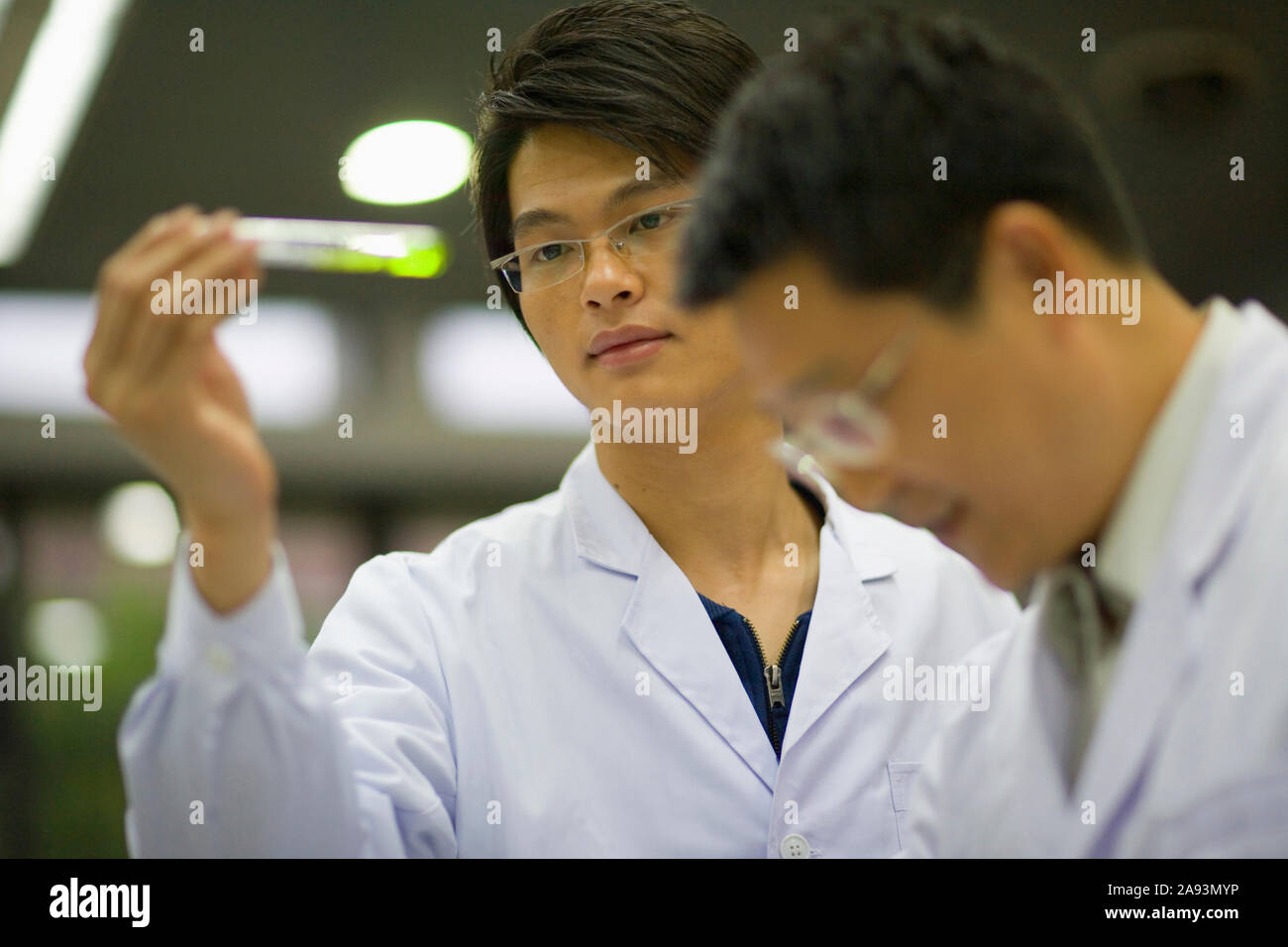 Two men doing a lab experiment Stock Photo - Alamy