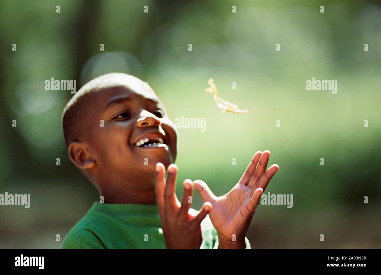 Little boy catching falling leaf Stock Photo - Alamy