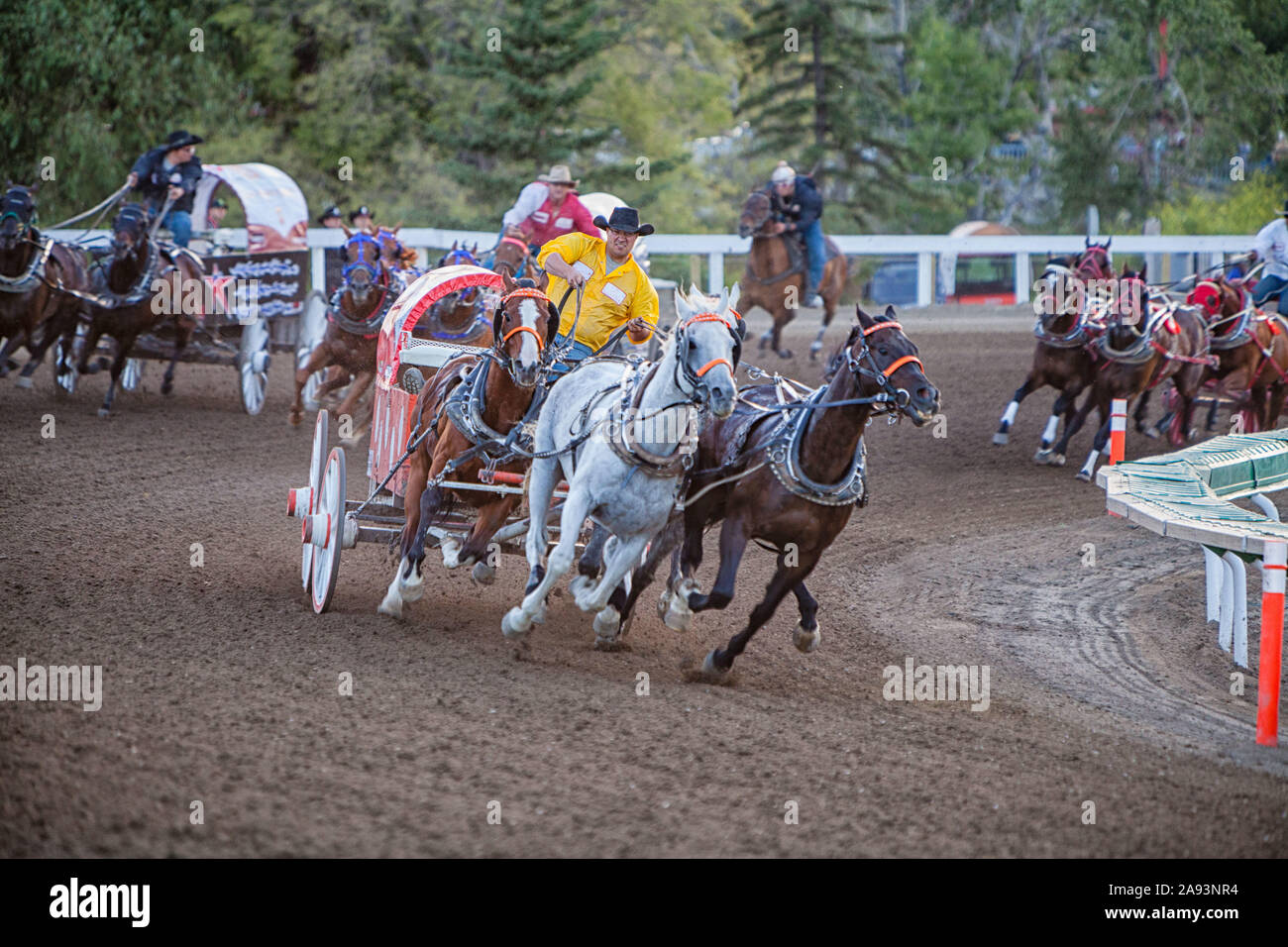 Calgary Exhibition and Stampede Chuckwagon Races Stock Photo - Alamy