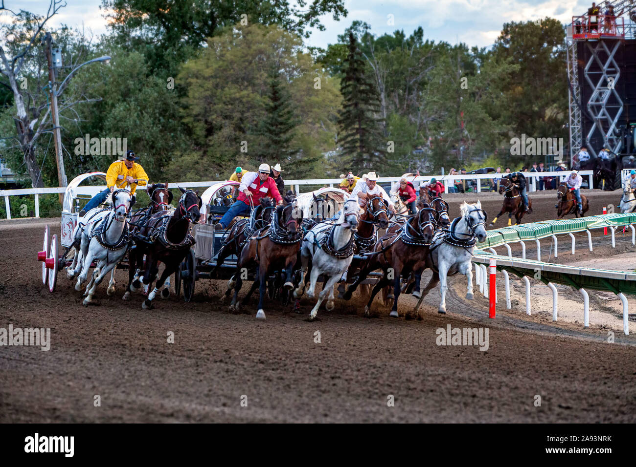 Calgary Stampede chuckwagon races, they round the first corner, three ...