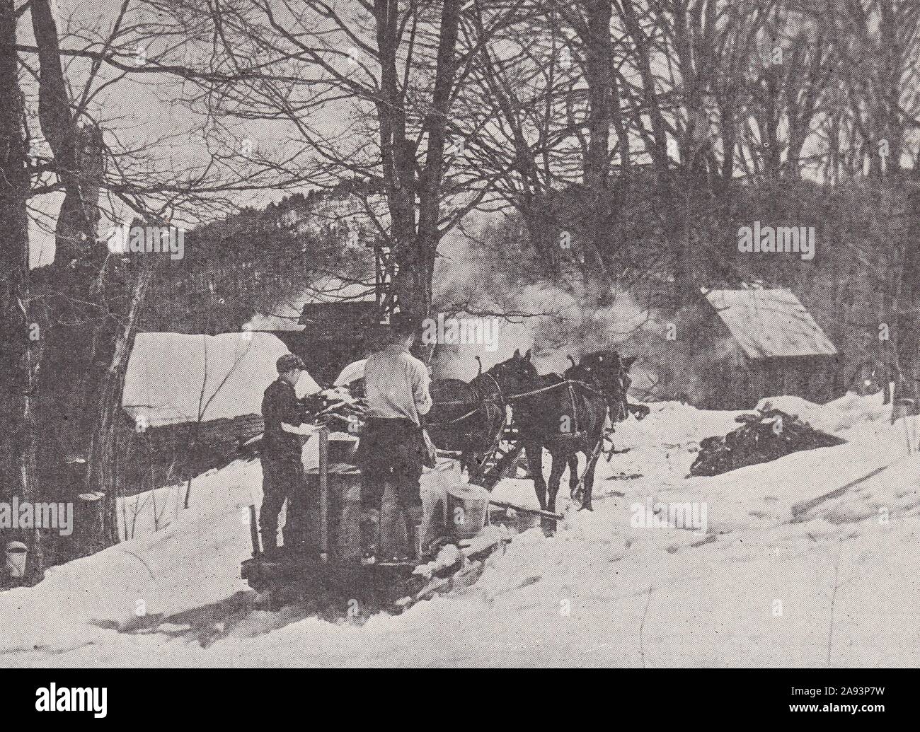 Dragged through the snow hi-res stock photography and images - Alamy