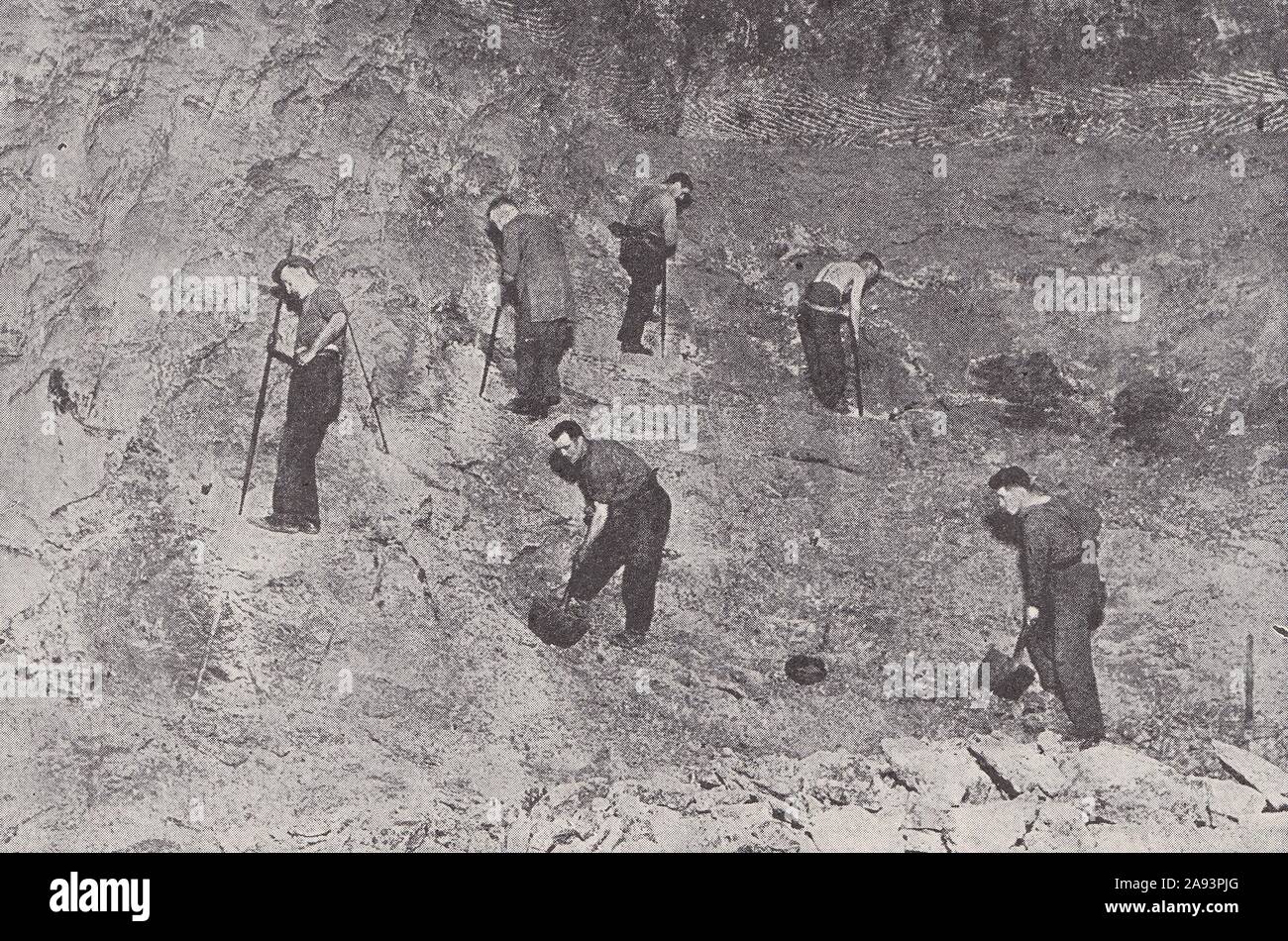Salt mine in Ireland 1930s Stock Photo - Alamy