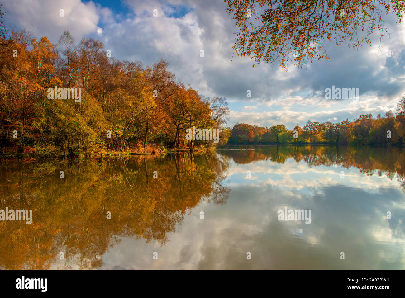 Uk fishing lake hi-res stock photography and images - Alamy