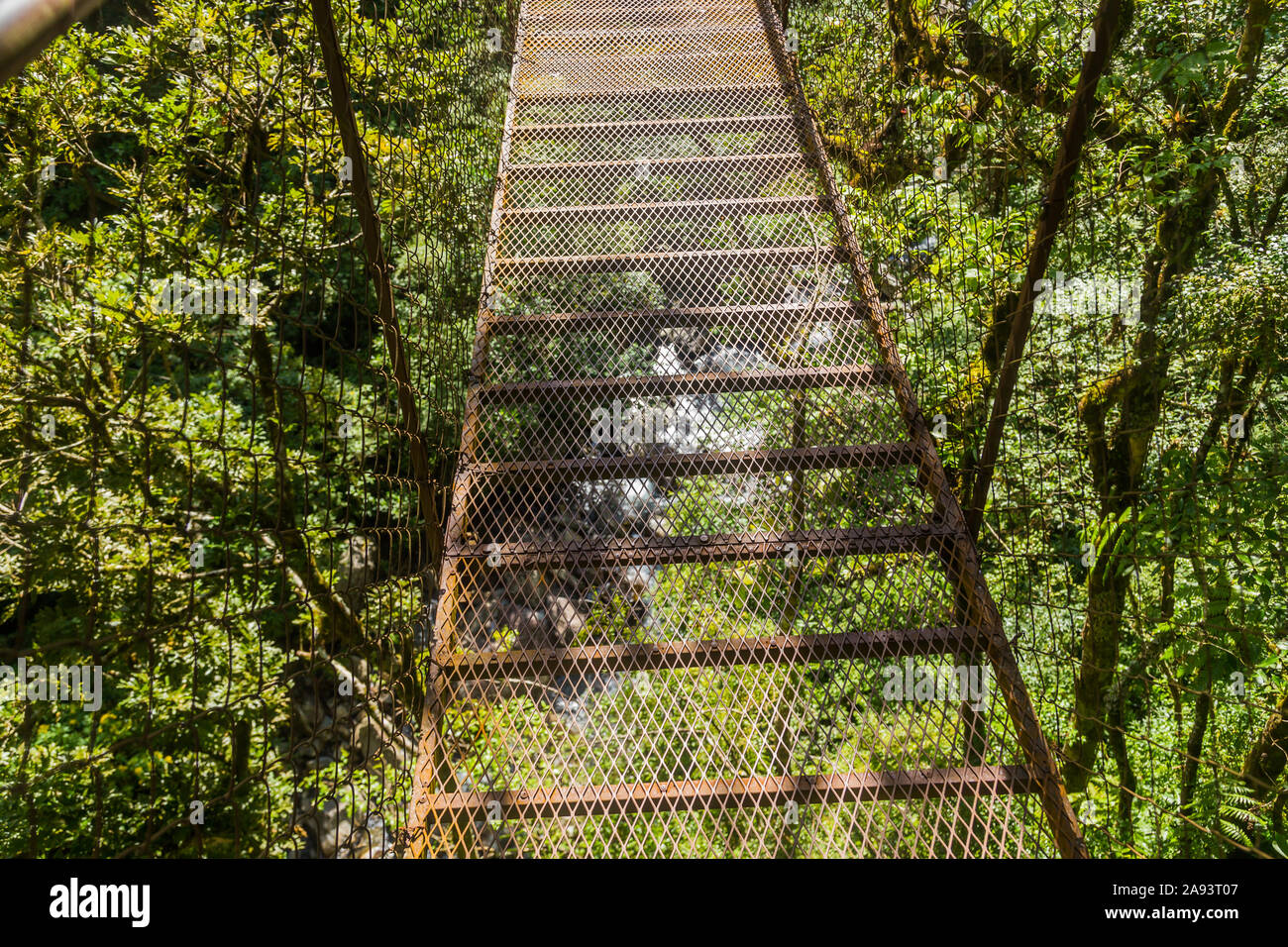 old hanging bridge in the jungle of Panama Stock Photo - Alamy