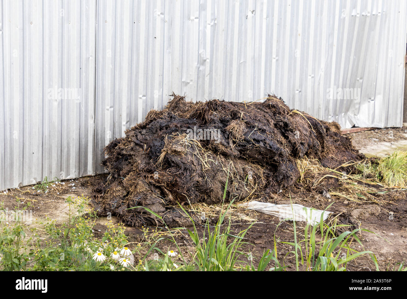 Cow dung wall hi-res stock photography and images - Alamy