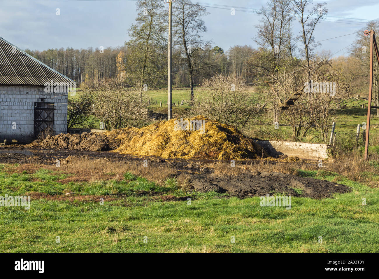 Cow dung wall hi-res stock photography and images - Alamy