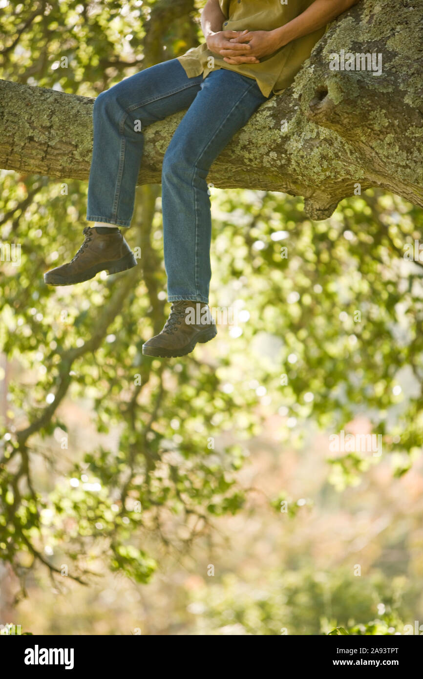 Man's legs dangling from a tree branch Stock Photo - Alamy