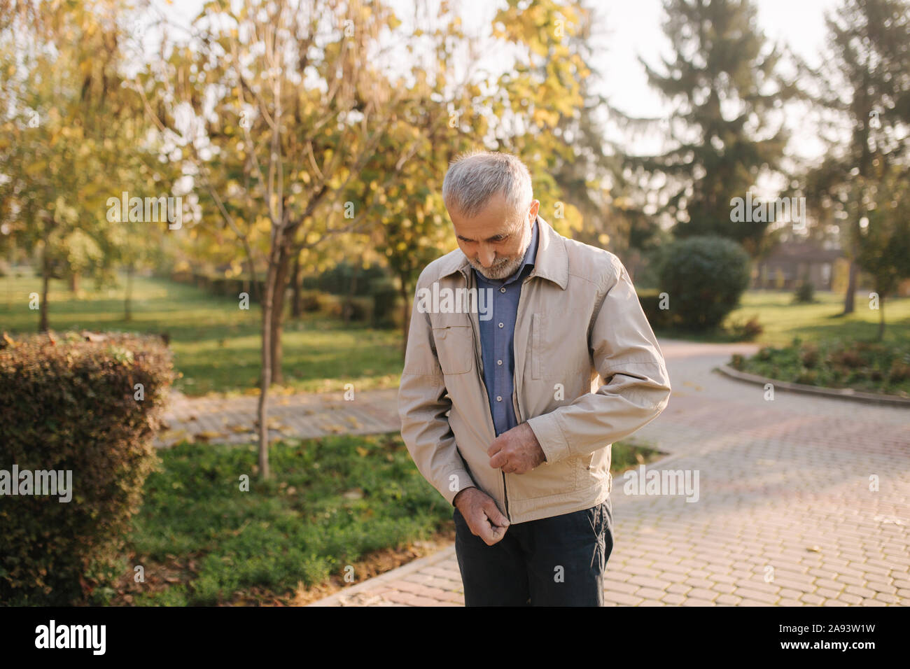 Elderly man zip a fly on jacket. Old bearded man walk in autumn park ...