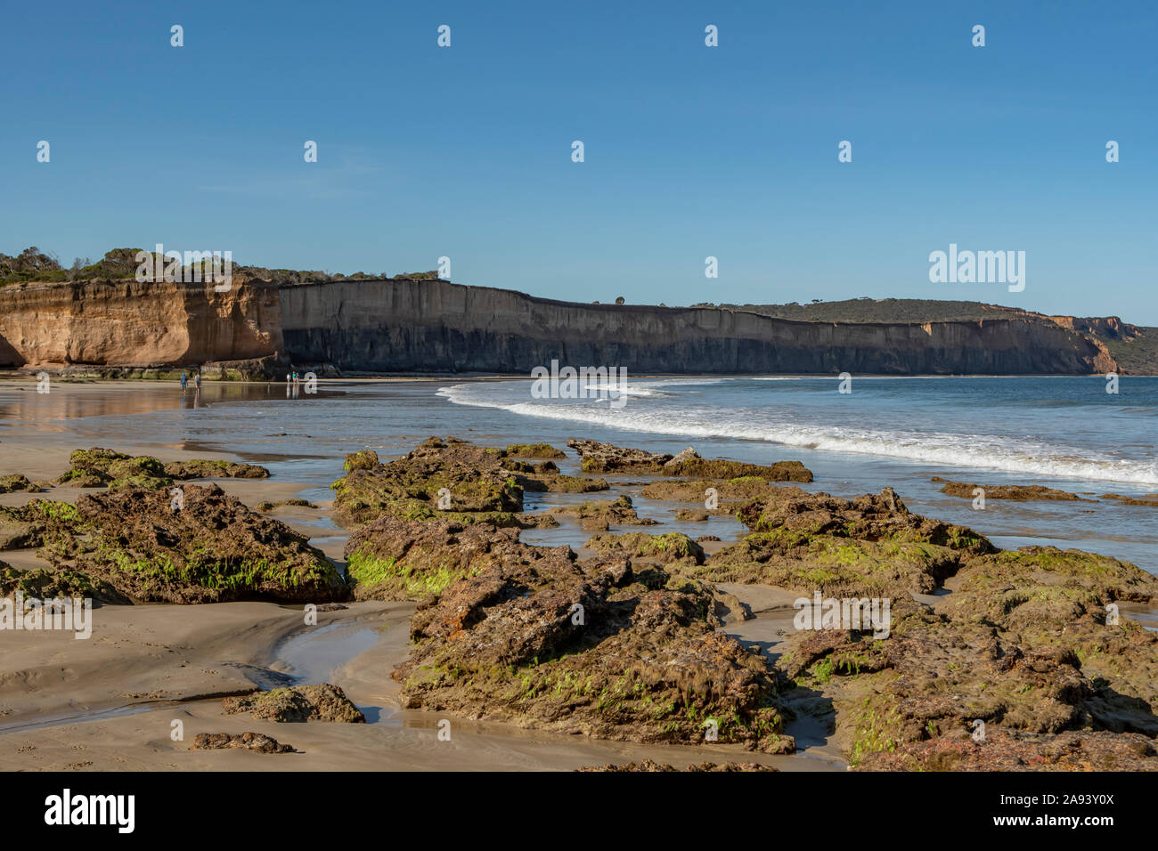 Anglesea australia hi-res stock photography and images - Alamy