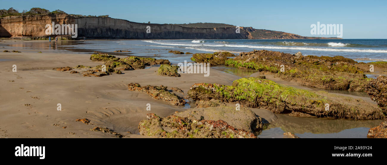 Anglesea australia hi-res stock photography and images - Alamy