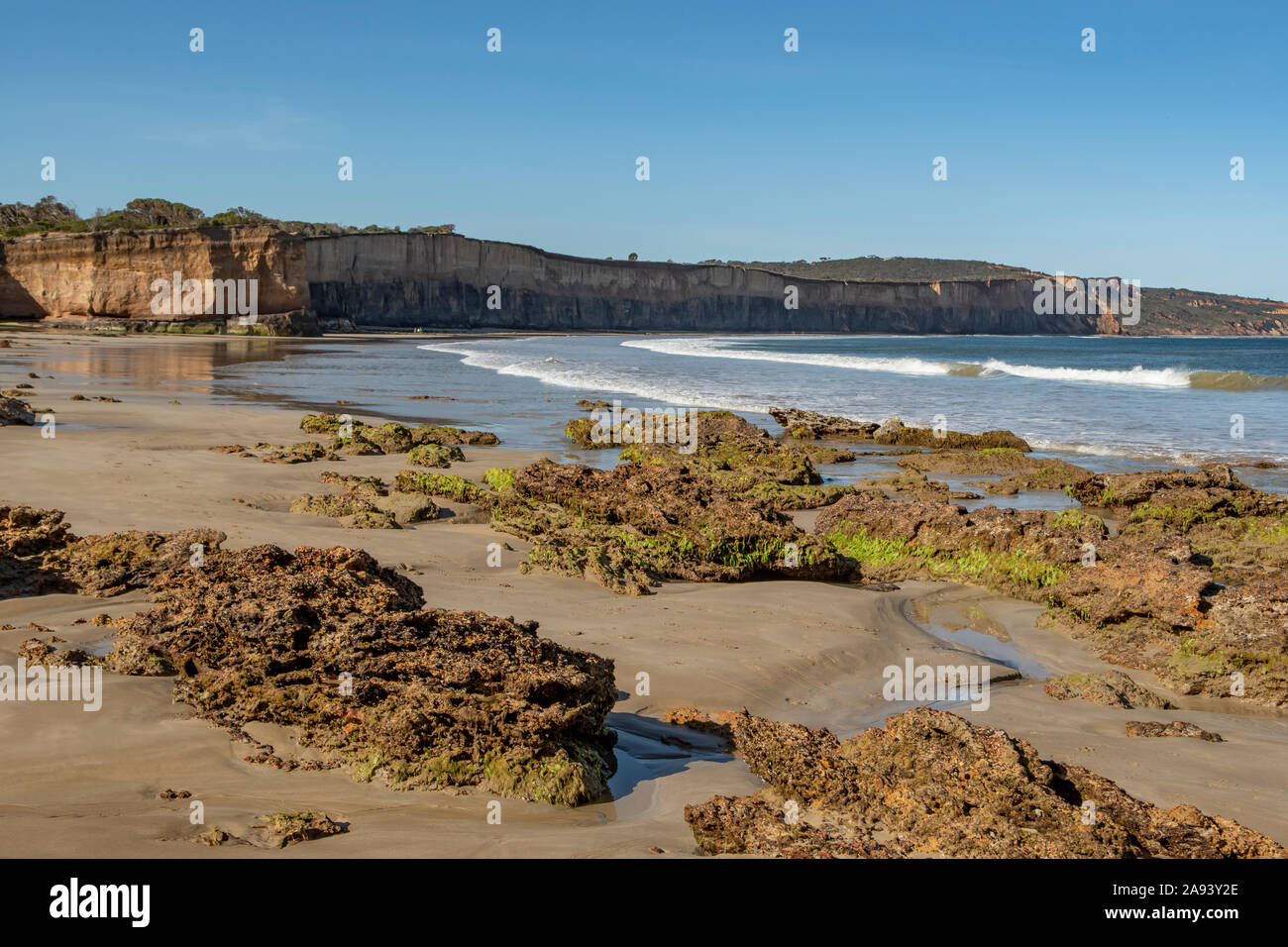 Anglesea australia hi-res stock photography and images - Alamy