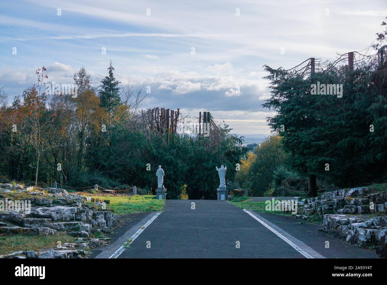 Irish woods hi-res stock photography and images - Alamy