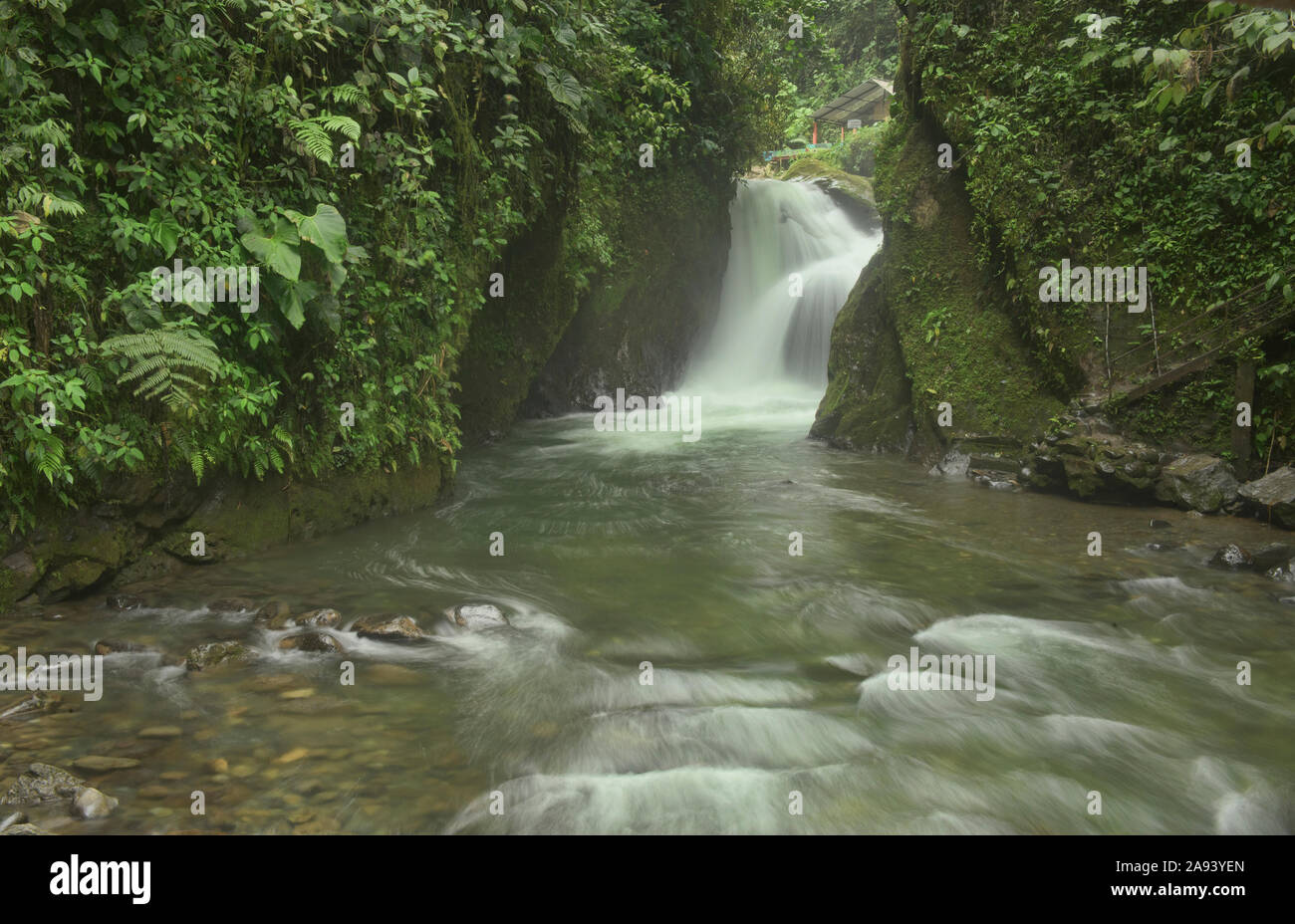 Nambilla waterfall, Mindo, Ecuador Stock Photo - Alamy