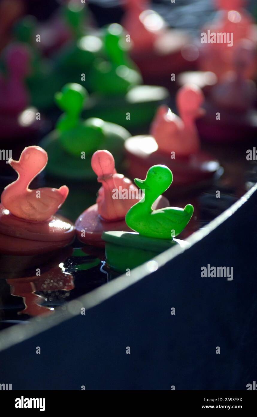 Floating plastic ducks at a state fair carnival amusement game Stock ...
