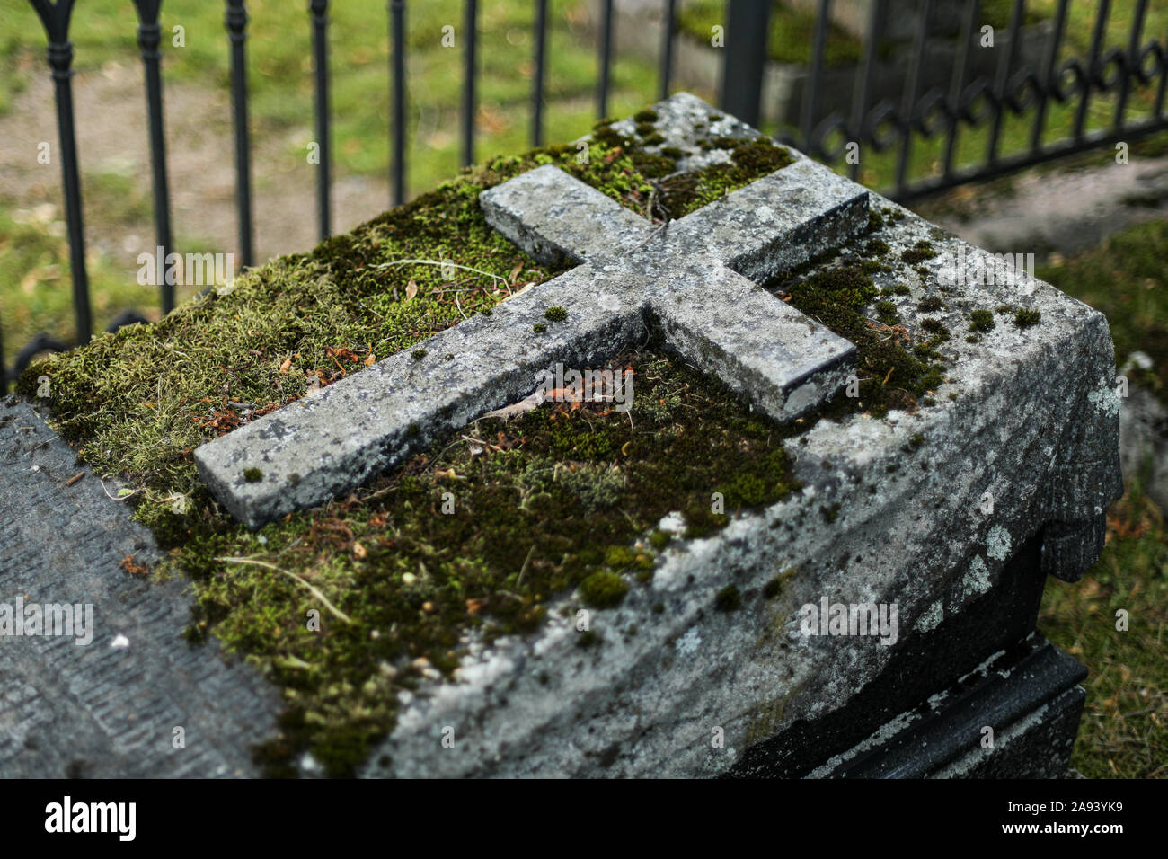 Moss covered large gravestone with cross and deceased information wiped ...