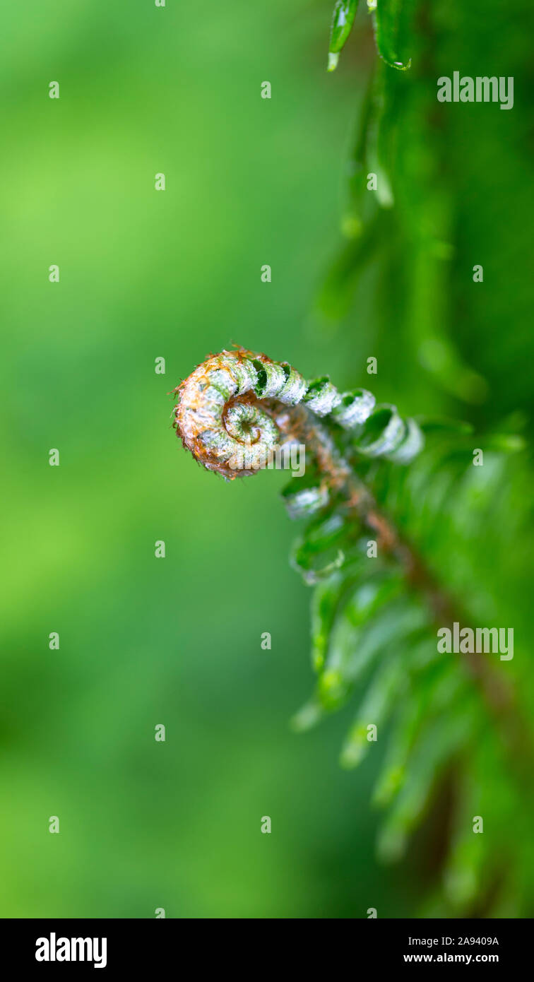Netterfield garden hi-res stock photography and images - Alamy