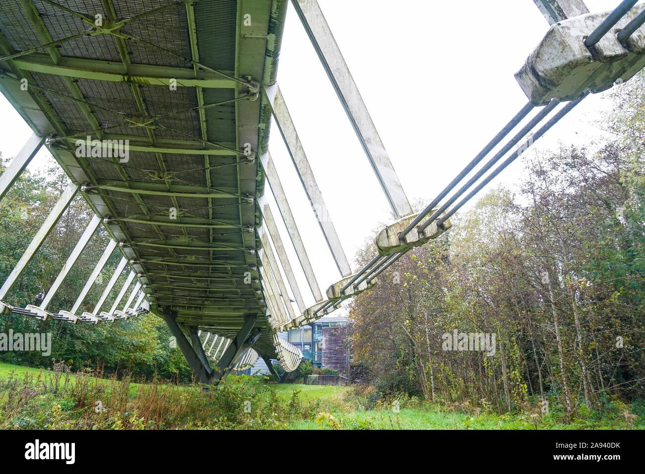 The Living Bridge, Limerick, Ireland Stock Photo - Alamy