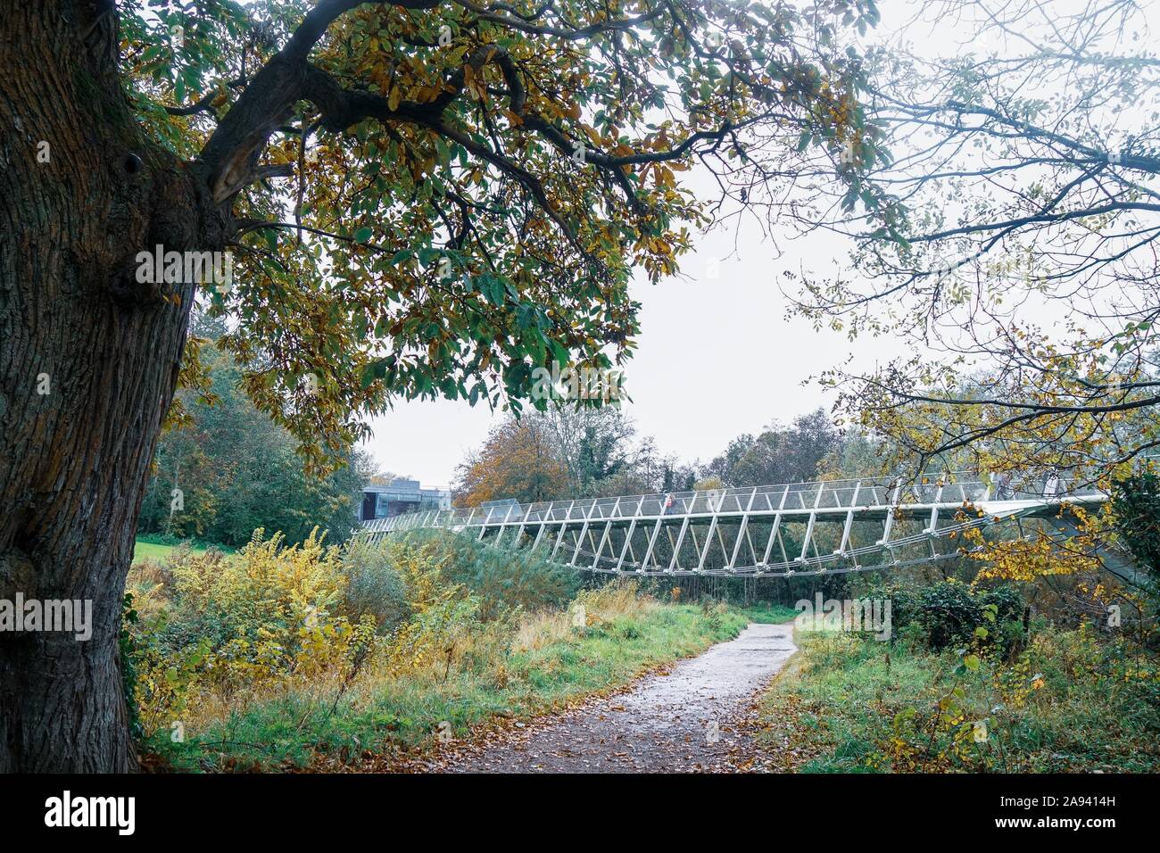 The Living Bridge, Limerick, Ireland Stock Photo - Alamy