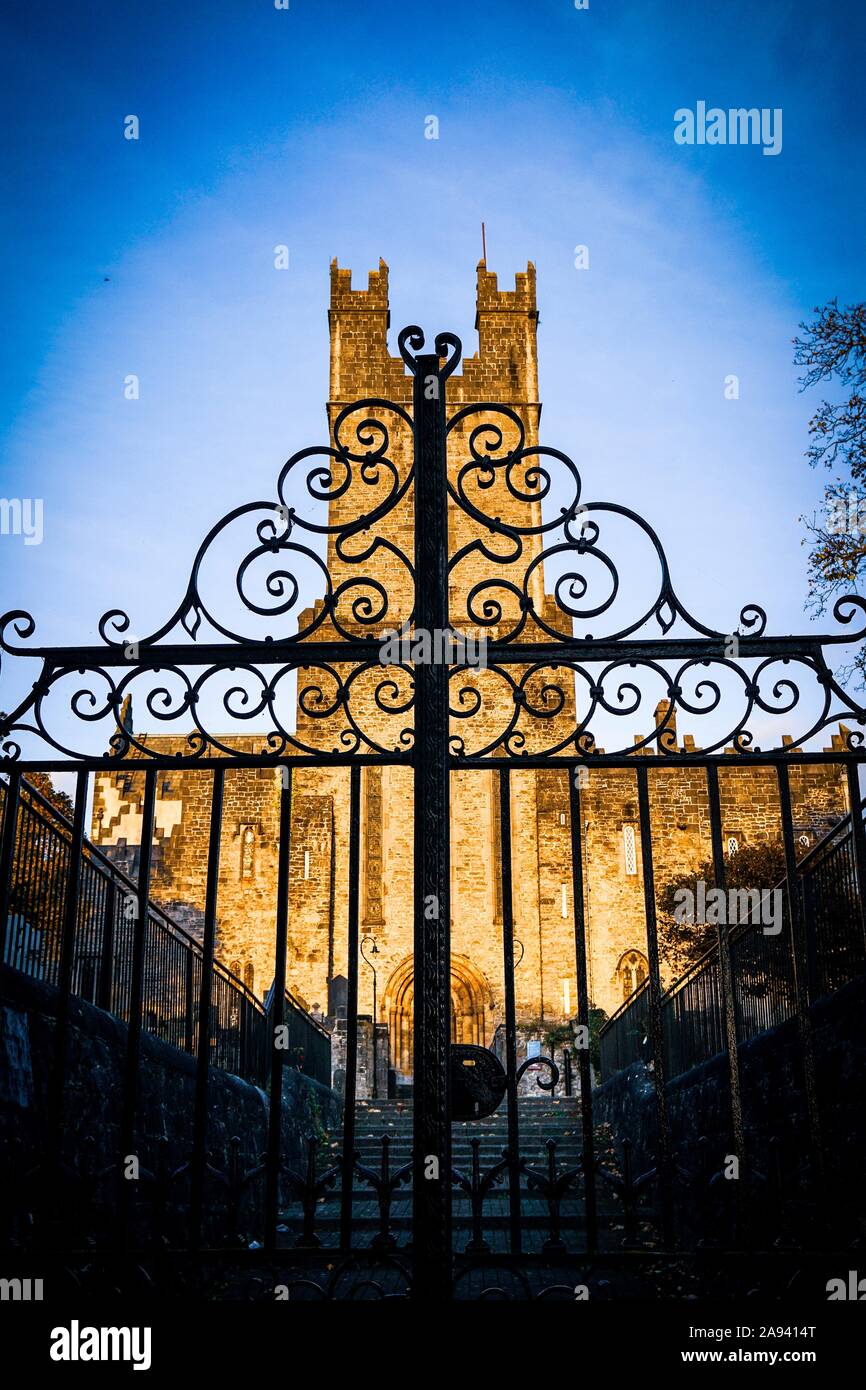 St marys cathedral of limerick hi-res stock photography and images - Alamy