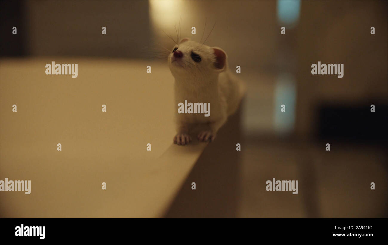 London.UK. Shifting daemon Pantalaimon (voiced by Kit Connor) in a ...