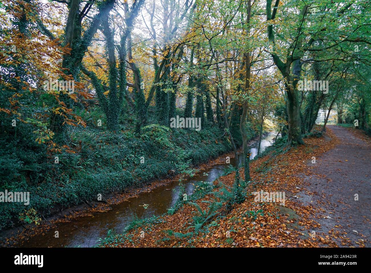 Environment walk hi-res stock photography and images - Alamy