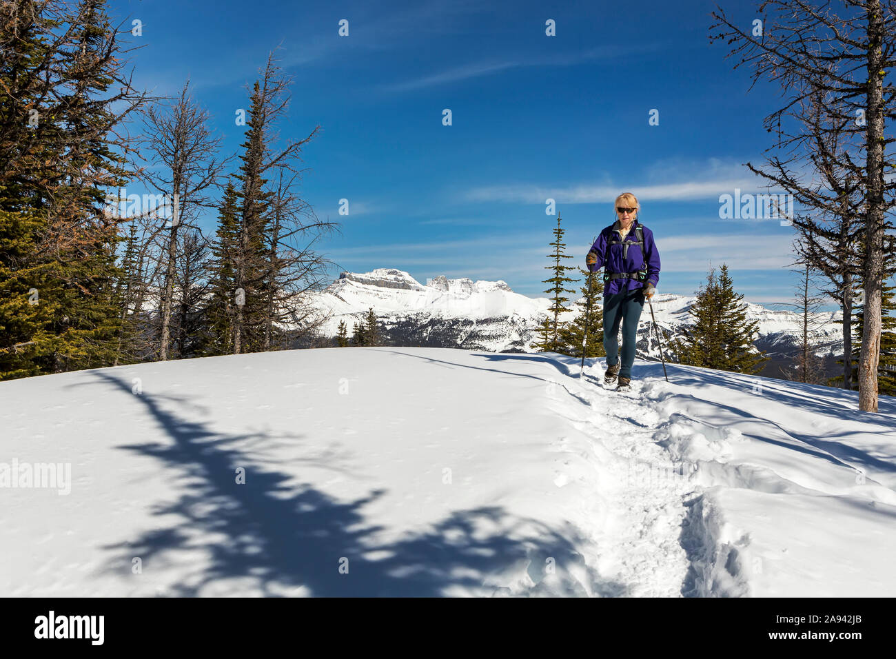 Alberta Canada Front Range Mountains High Resolution Stock Photography ...