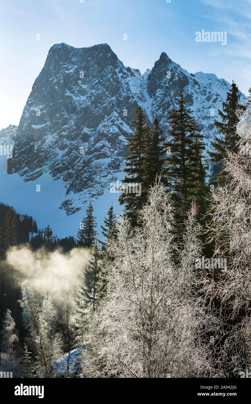 Snow-covered mountain peaks framed by evergreen trees with warm light ...