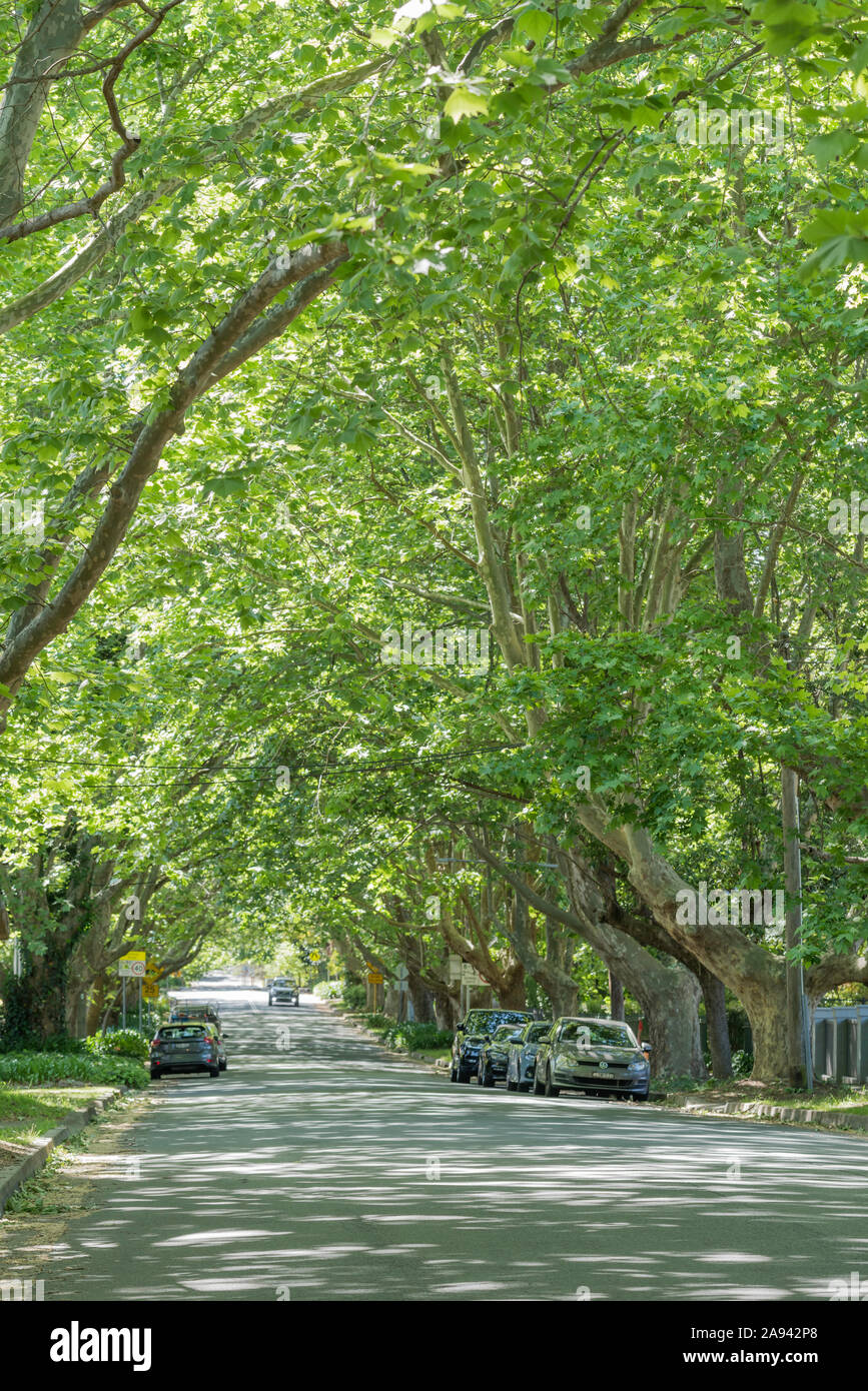 Canopy street hi-res stock photography and images - Alamy
