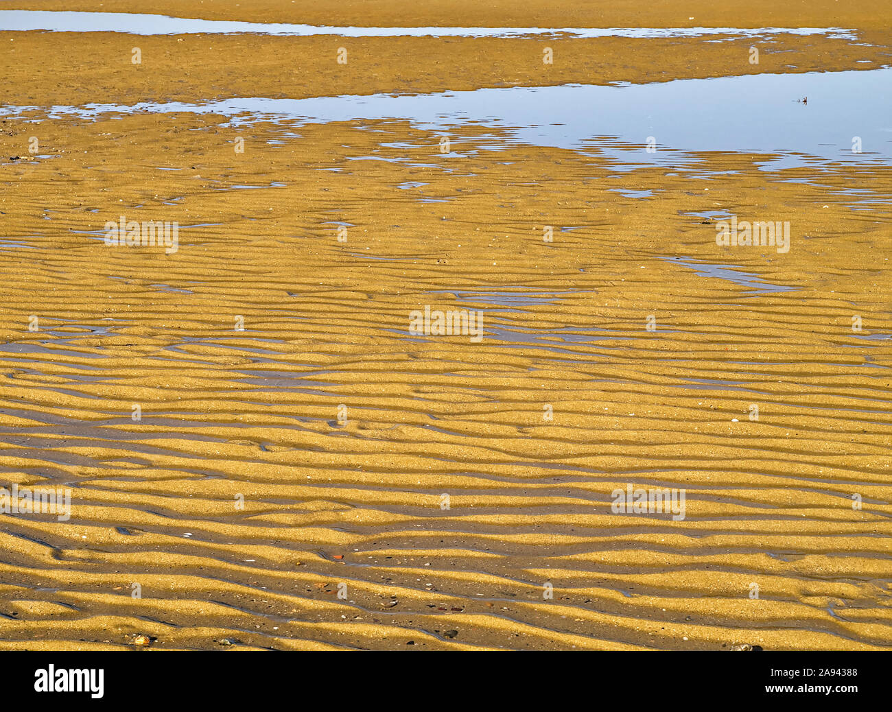 Sand ripples and water at a beach, during low tide Stock Photo - Alamy