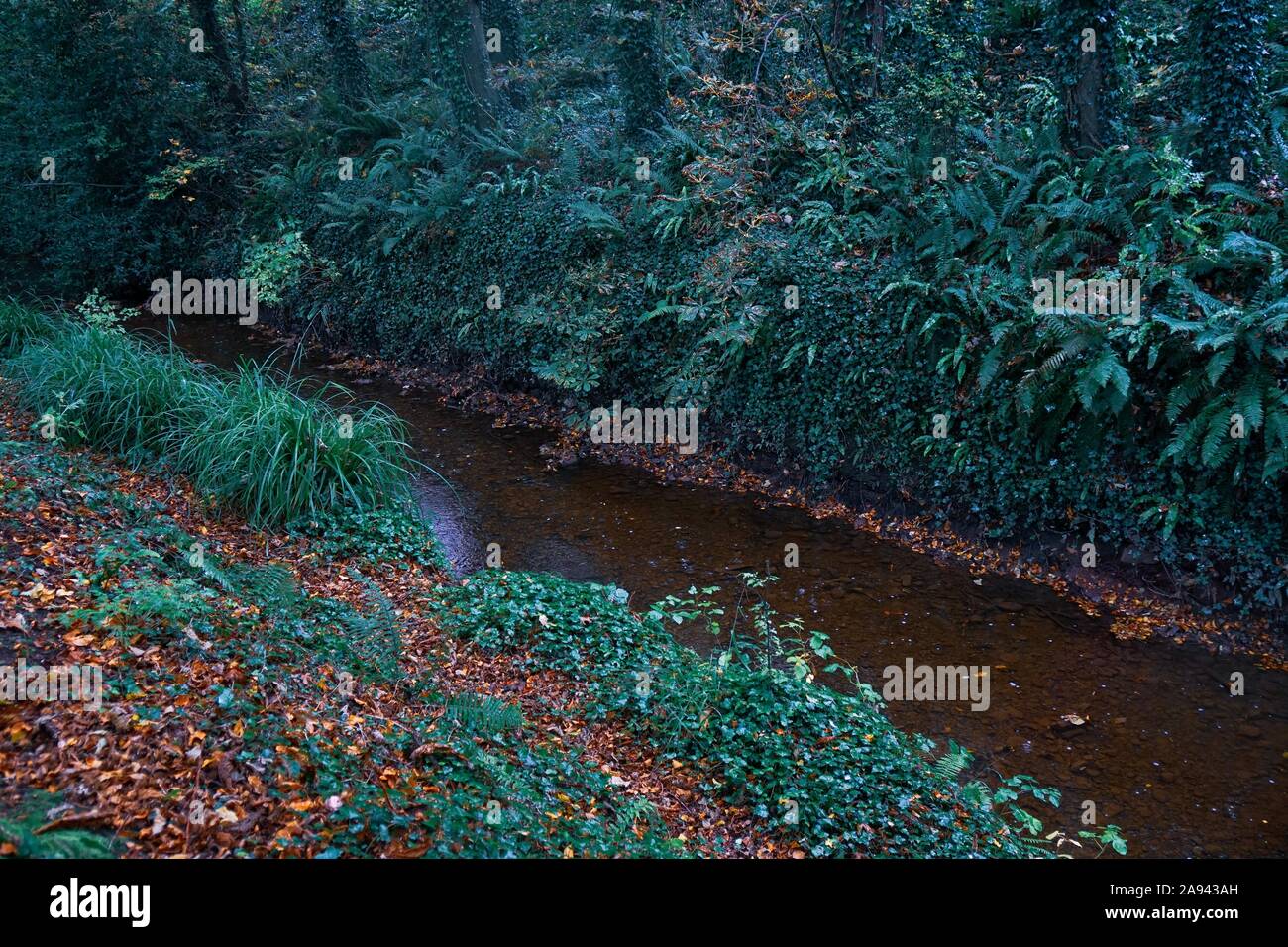 Limerick University Campus High Resolution Stock Photography and Images ...