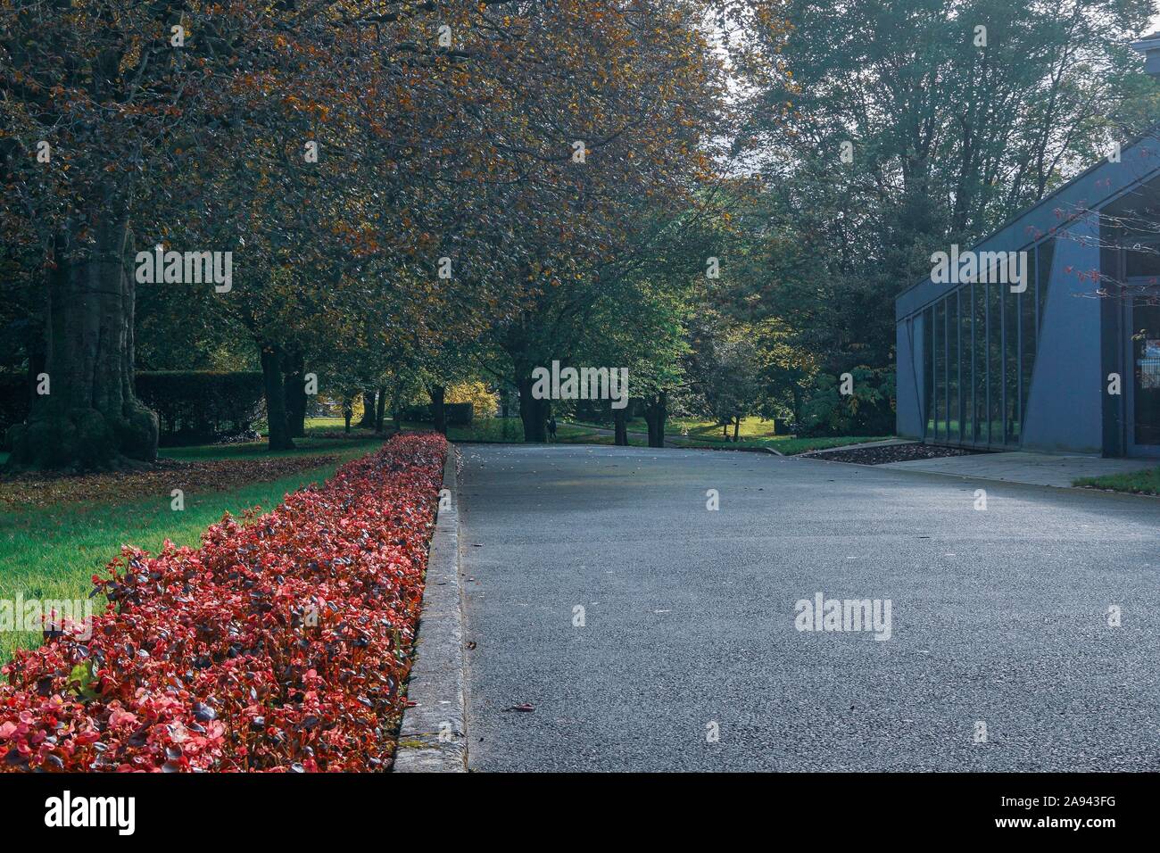 People’s Park, Limerick, Ireland Stock Photo - Alamy