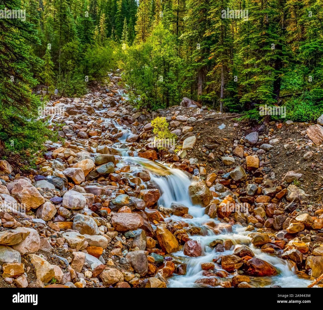 Stream flowing over rocks in a forest; Alberta, Canada Stock Photo - Alamy