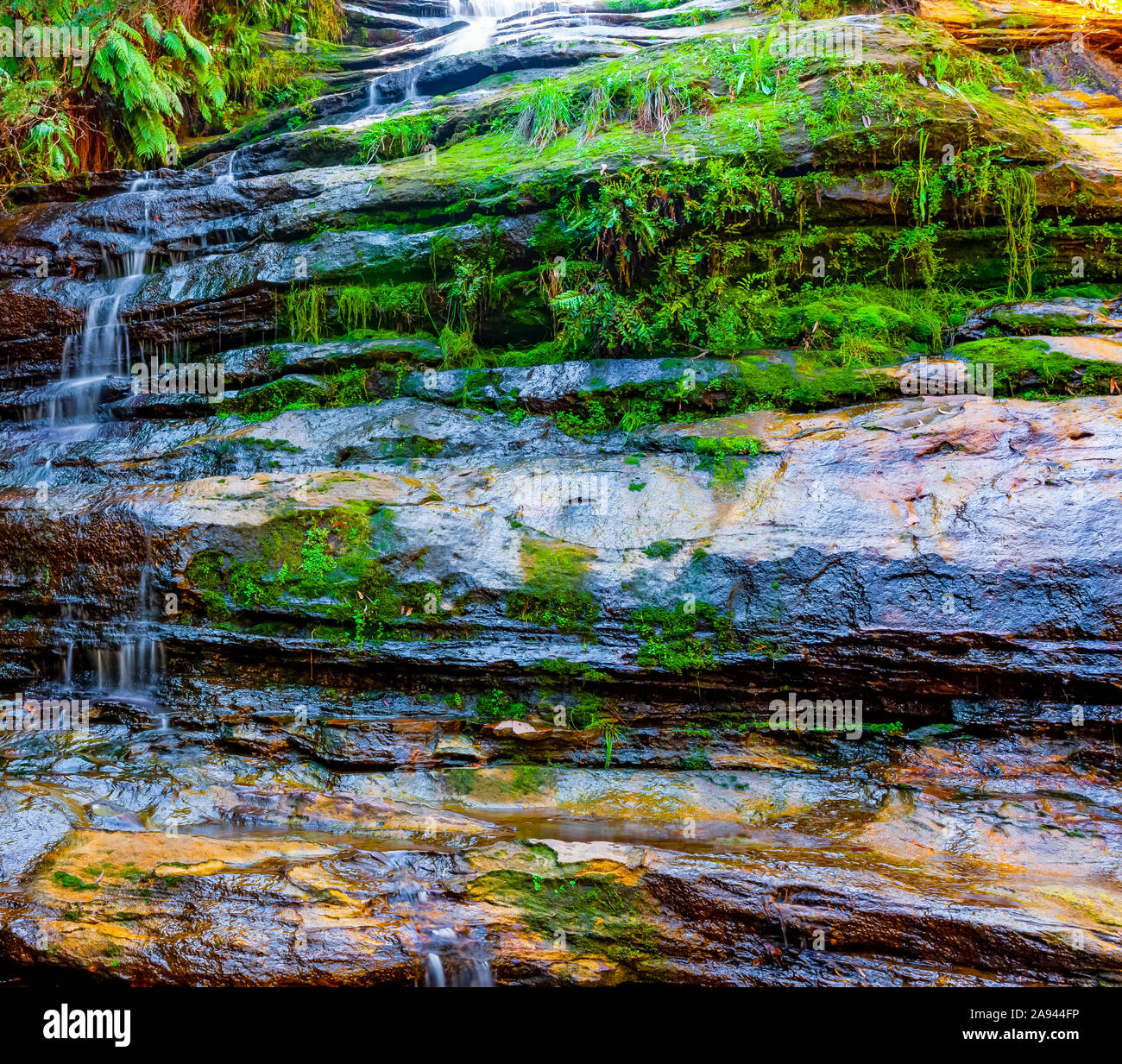 Lush cliff hi-res stock photography and images - Alamy