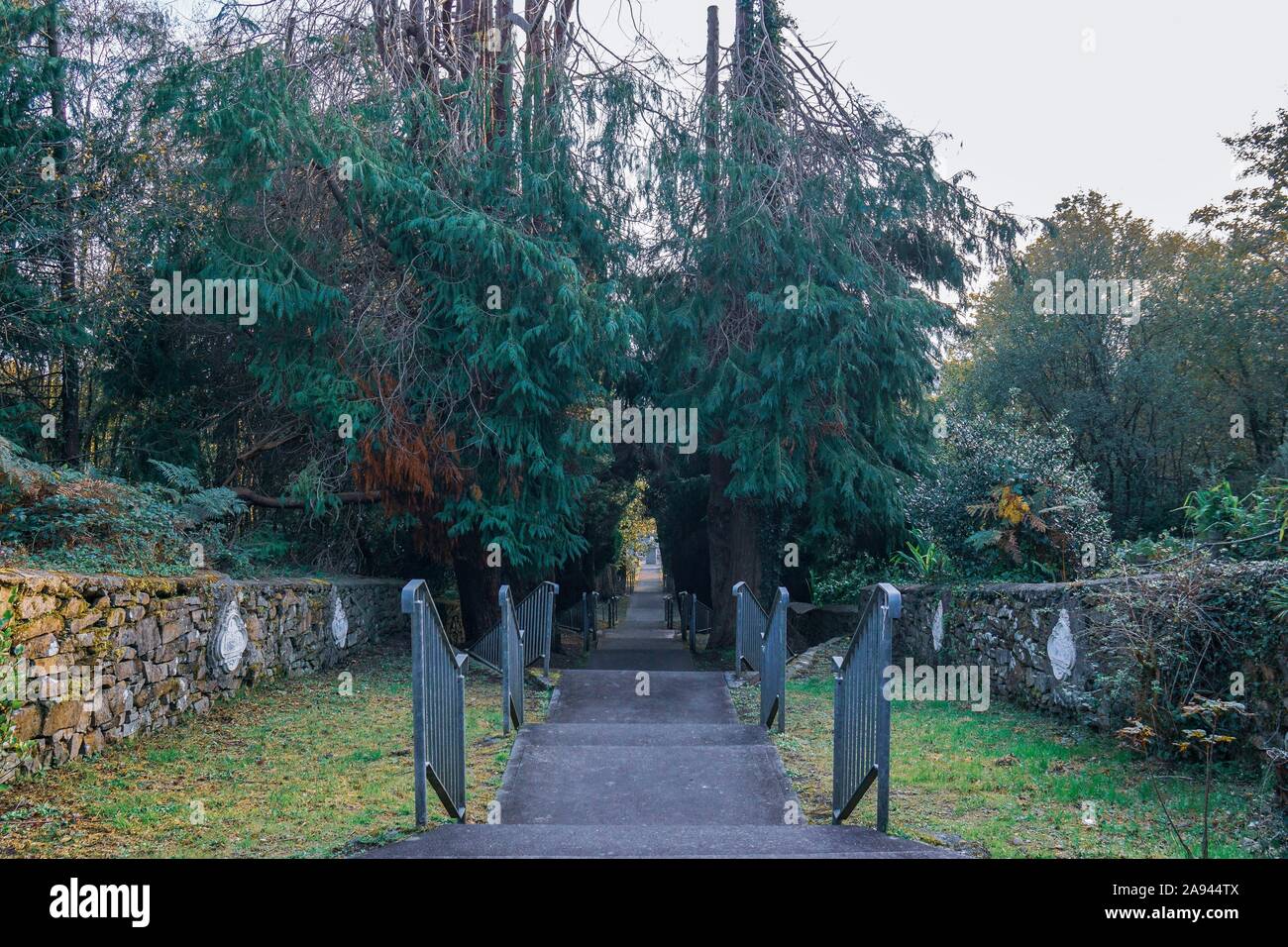 Cratloe ireland hi-res stock photography and images - Alamy