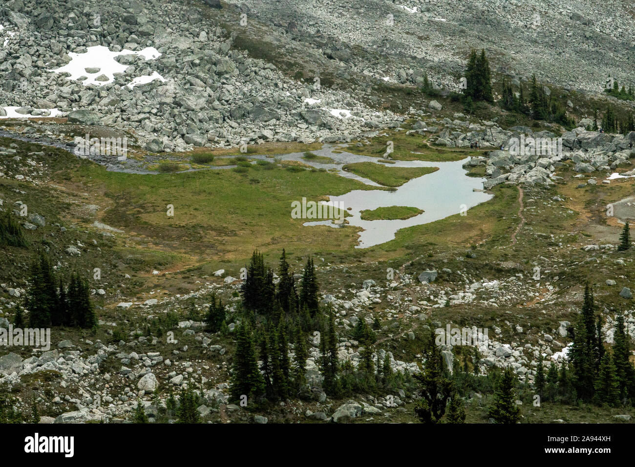 Alpine meadows ski resort hi-res stock photography and images - Alamy